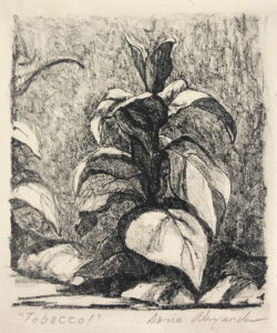 Doris Alexander Thompson - Dixie Art Colony Foundation